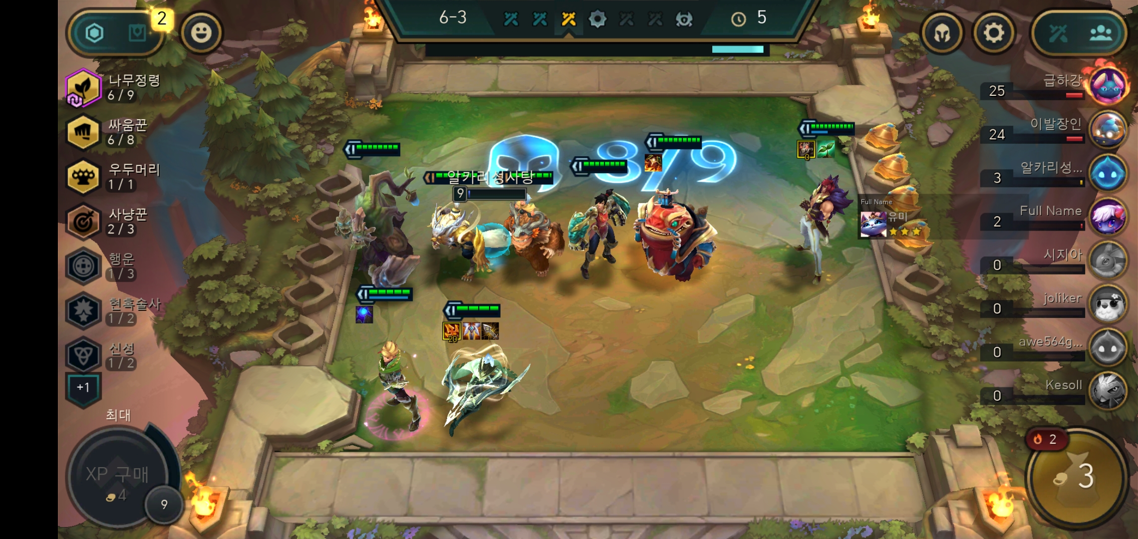 형들 이 약 어떰? - TFT Stats, Leaderboards, League of Legends Teamfight ...